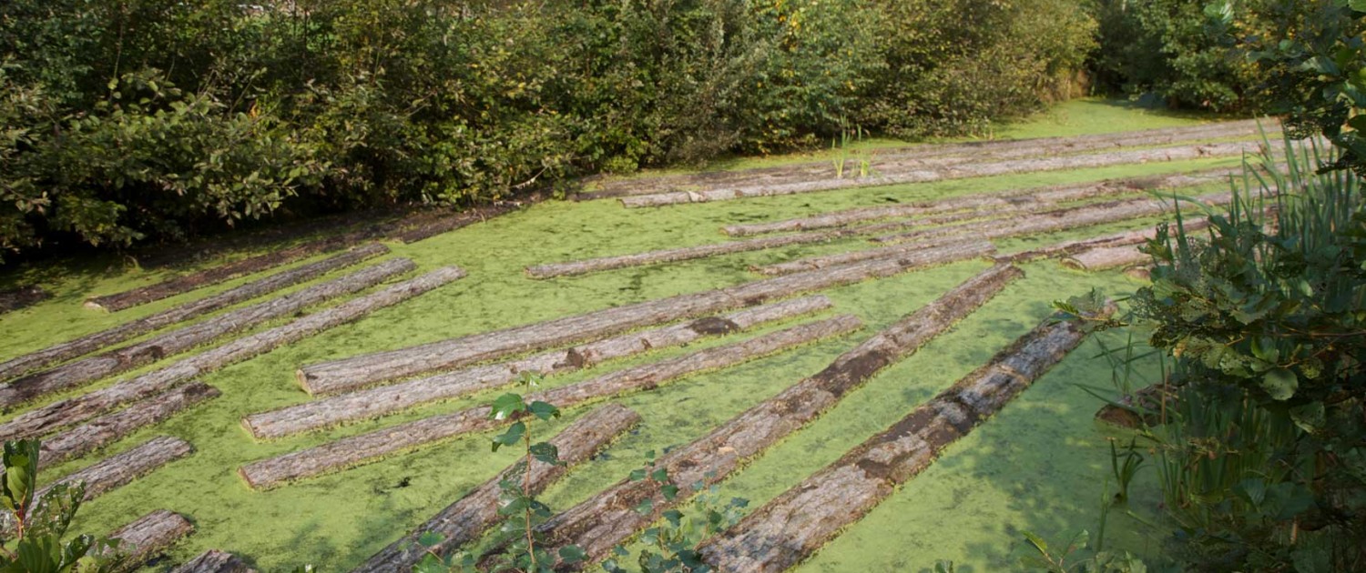 Inlands Hout Van Leersum – verkoop van inlandse houtsoorten