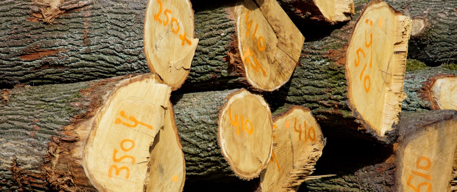 Inlands Hout Van Leersum – verkoop van inlandse houtsoorten