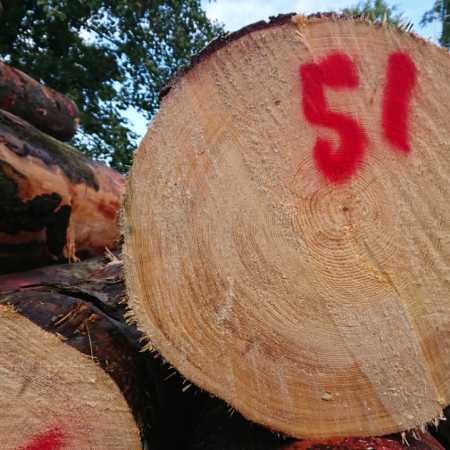 Inlands Hout Van Leersum – verkoop van inlandse houtsoorten